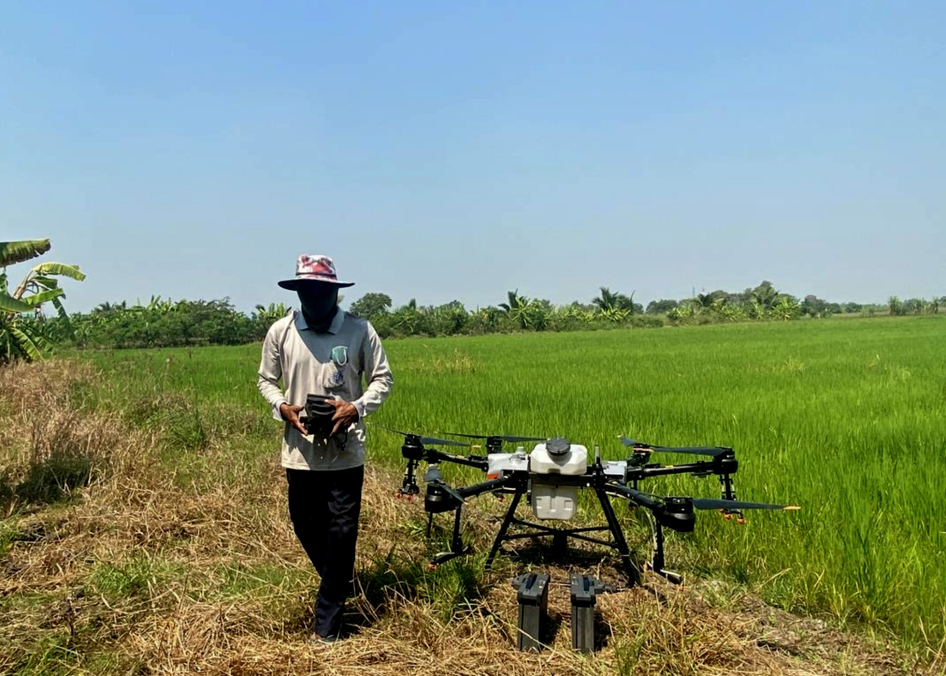 Asian farmers turn to drones, apps for labor, climate challenges ...