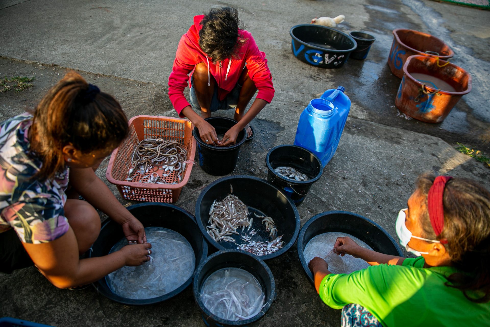 Troubled Waters: Philippine fisherfolk suffer poor catch as gov’t ...
