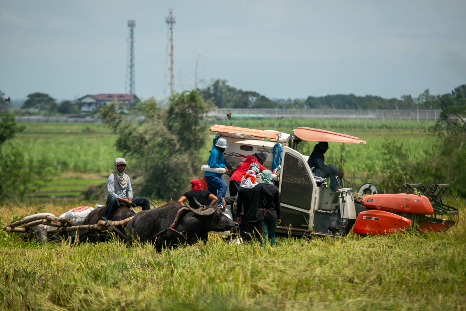 Climate Induced Disasters Aggravate Filipino Farmers Sorry State