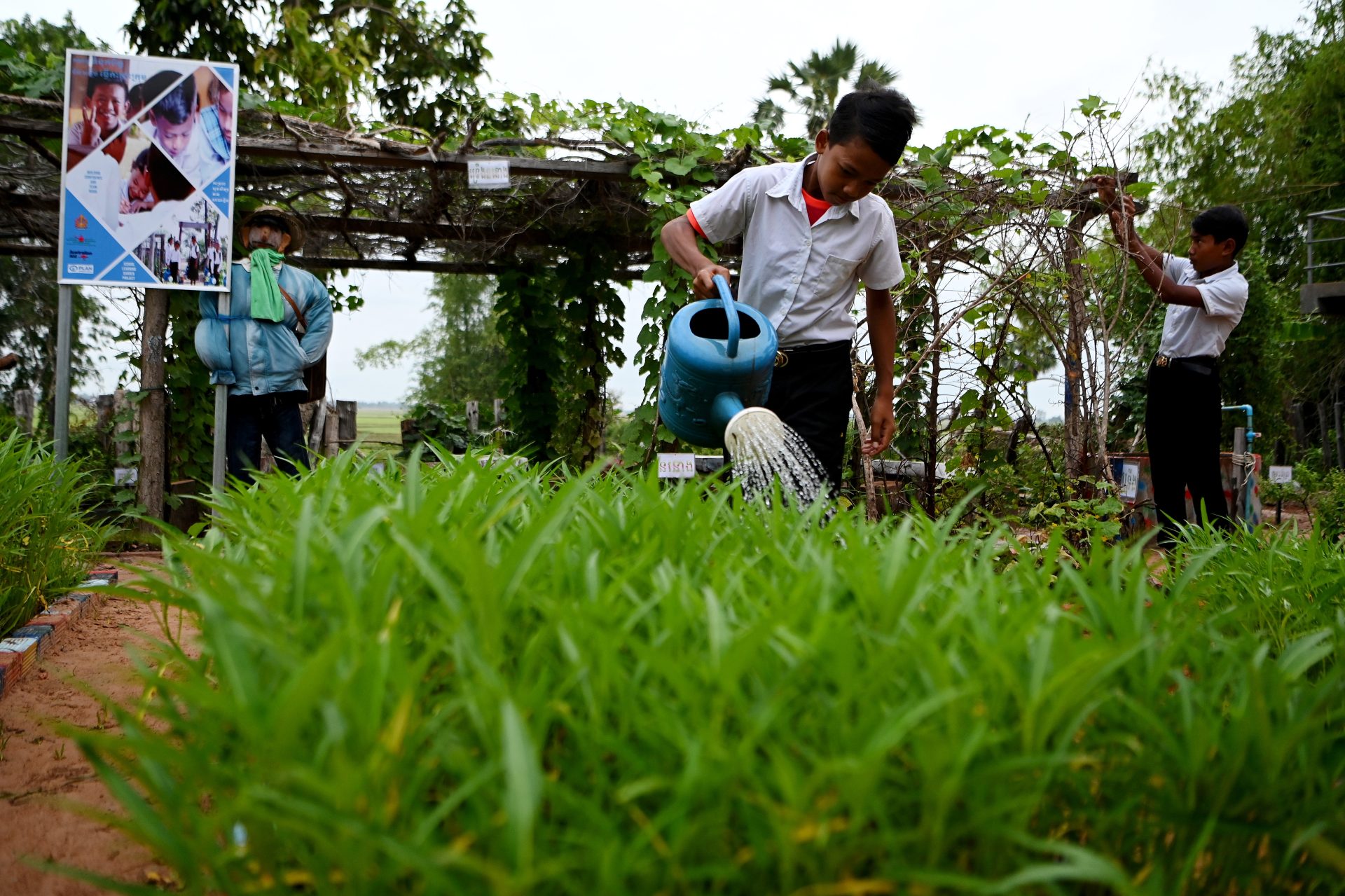 School gardens a lifeline for hungry Cambodian children - LiCAS.news ...