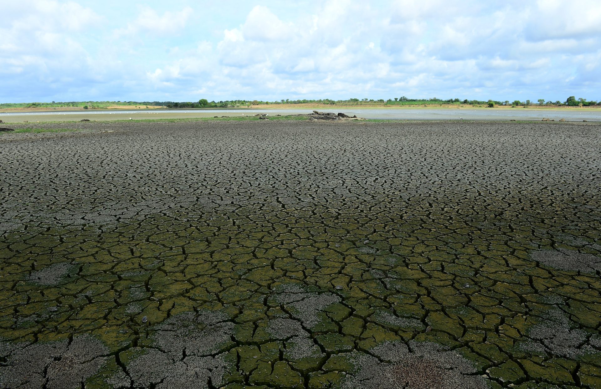 Drought in Sri Lanka devastates farmland and fuels poaching - LiCAS ...
